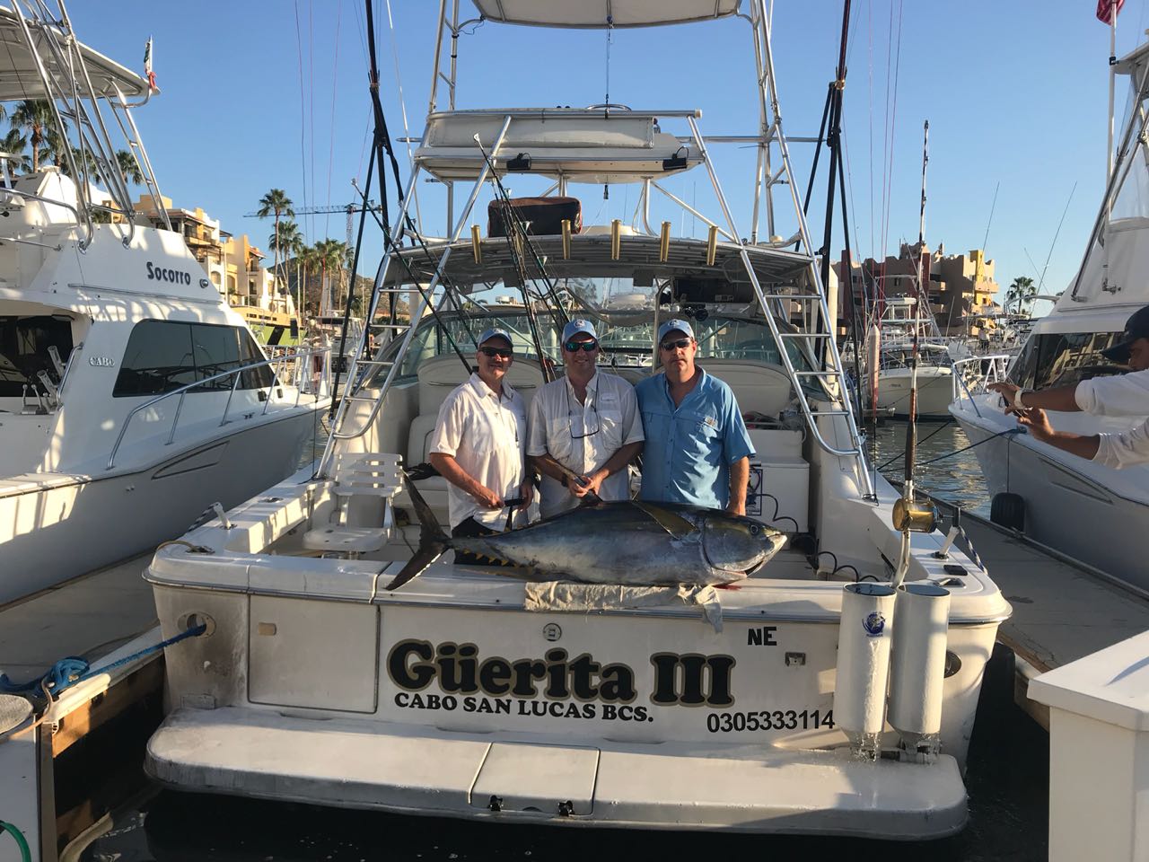 The Advantages of Going Yellow-Fin Tuna Fishing in Cabo San Lucas ...