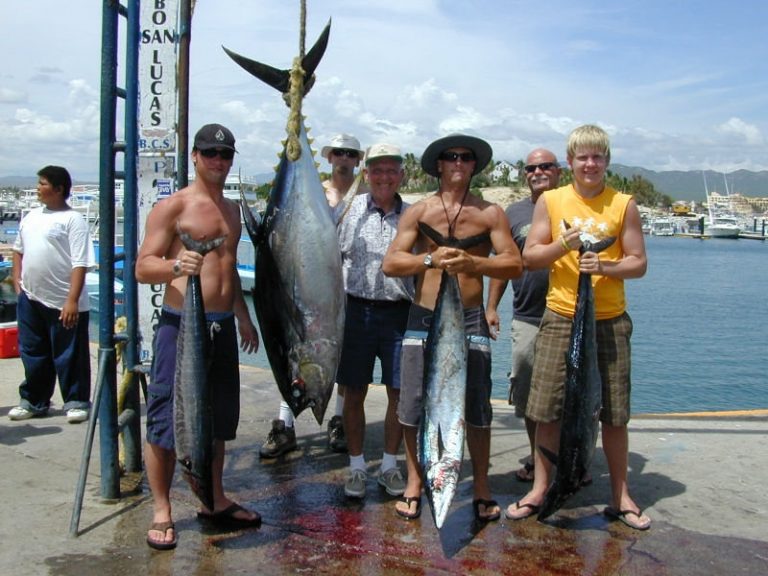 How to Improve Your Chances for Catching Yellowfin Tuna in Cabo San ...