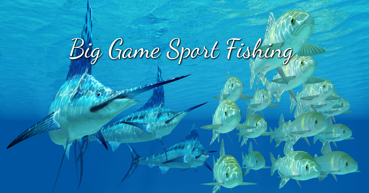 Yellowfin Tuna Fishing Charters in Cabo San Lucas | Guerita Sportfishing